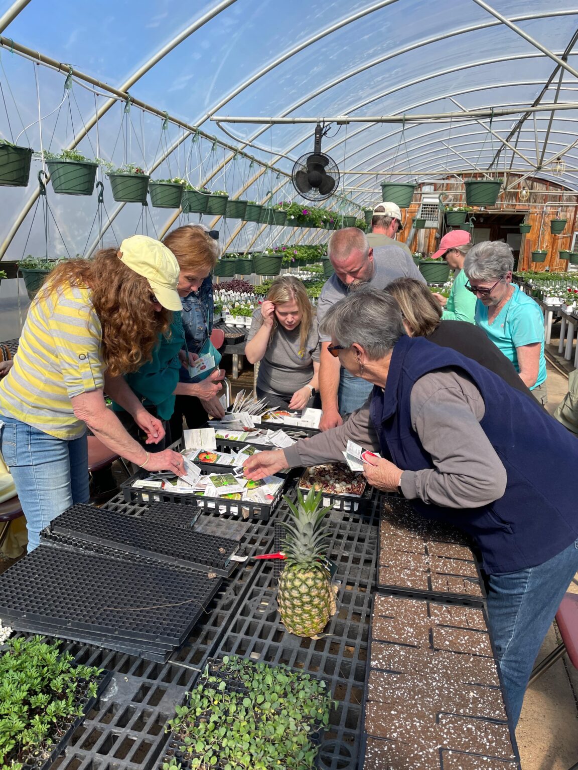Spring Seedlings a Mega-Popular Class at Quinn’s Nursery – Feed Fannin
